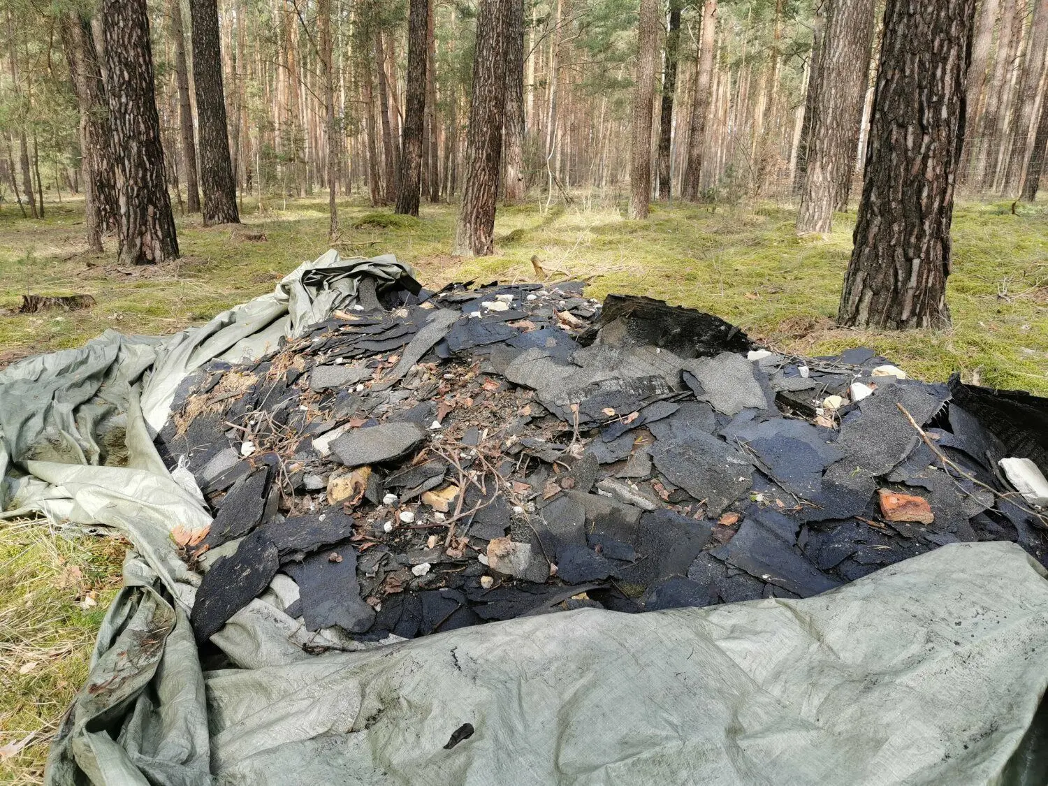 Talsperre Spremberg: Müll am Strand und Bauschutt im Wald – der Stausee ...